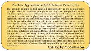 The Non-Aggression and Self-Defense Principles | The Unity Process